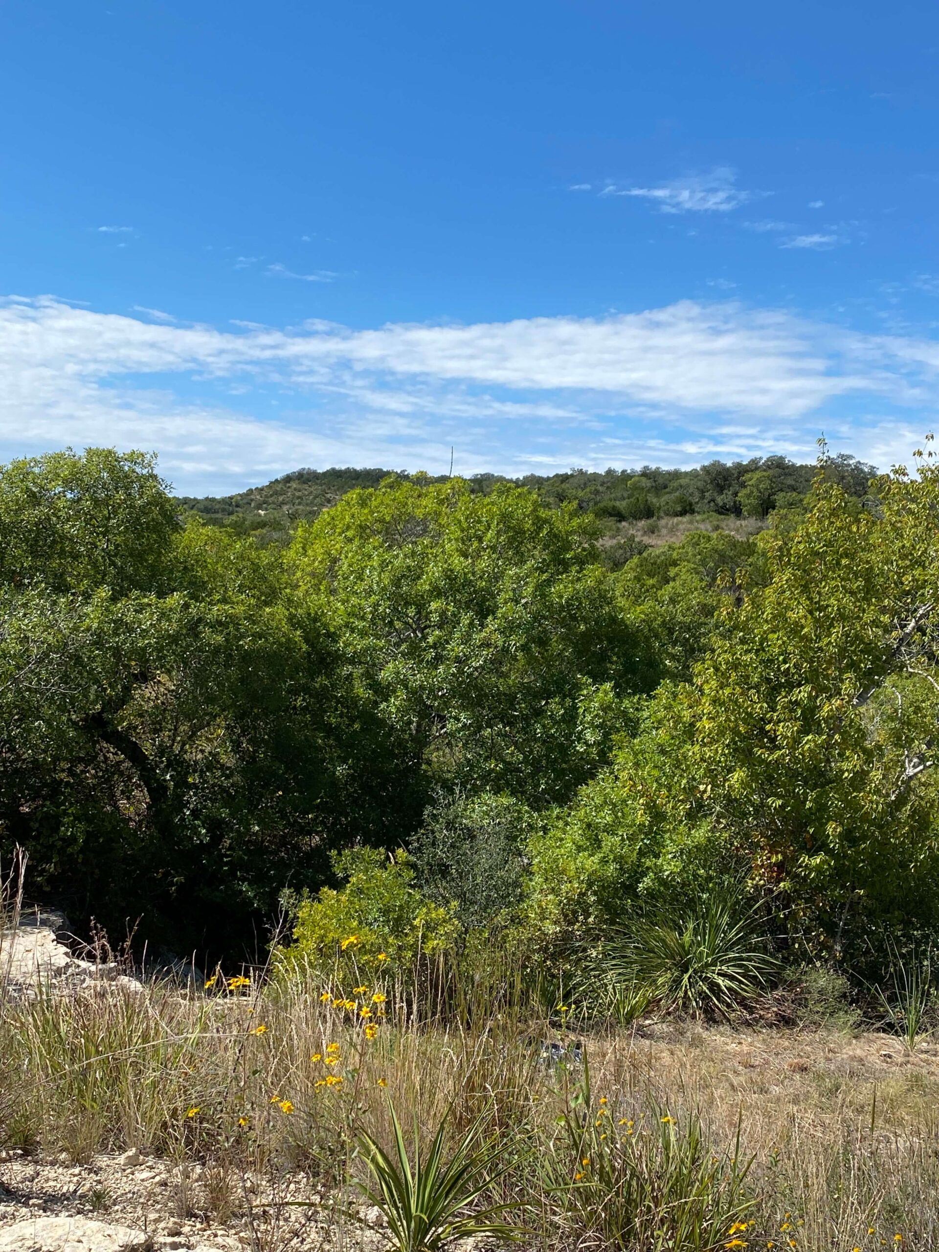 Discovering and Defining the Texas Hill Country - from deep in the heart
